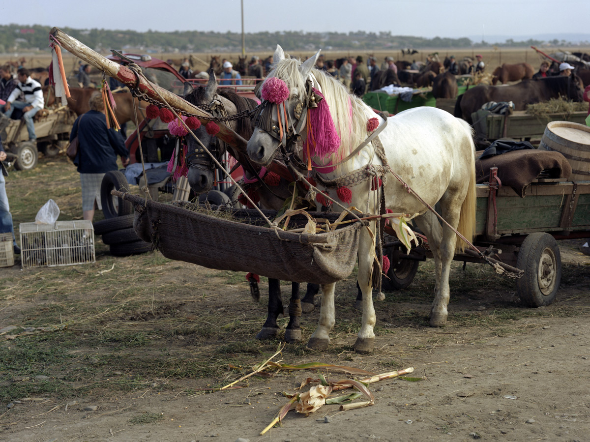 Prut – Matei Bejenaru – la galerie art & essai